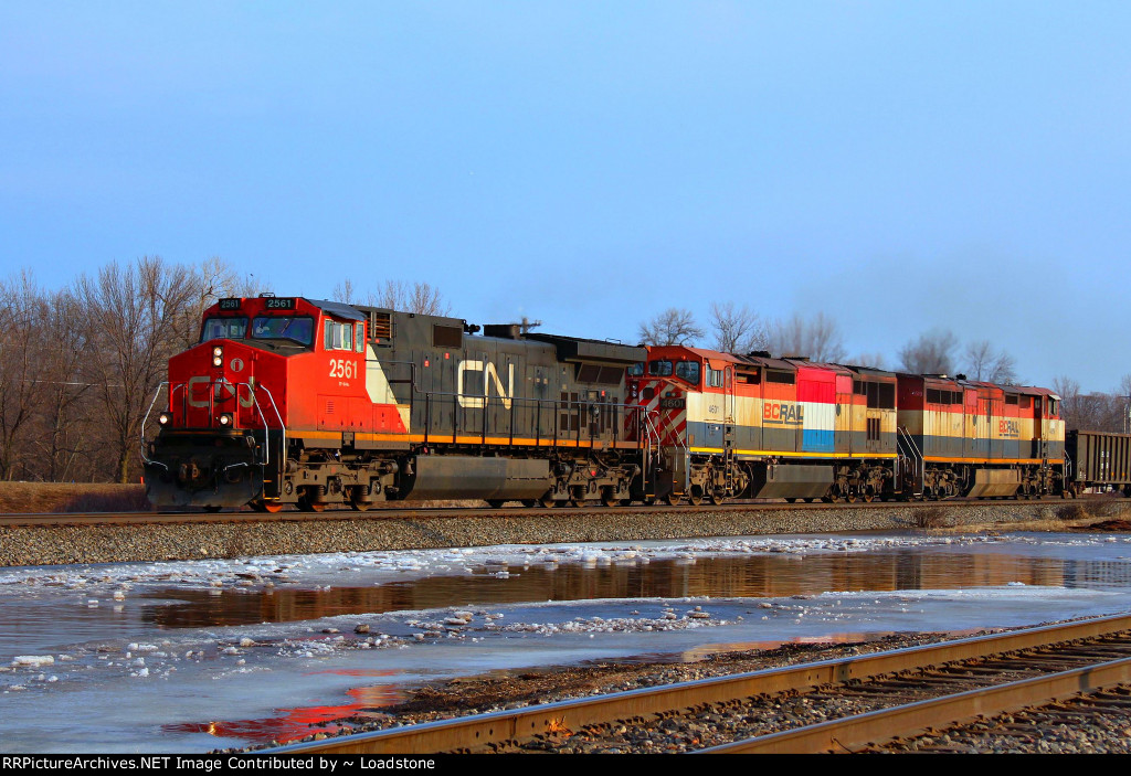 CN 2561